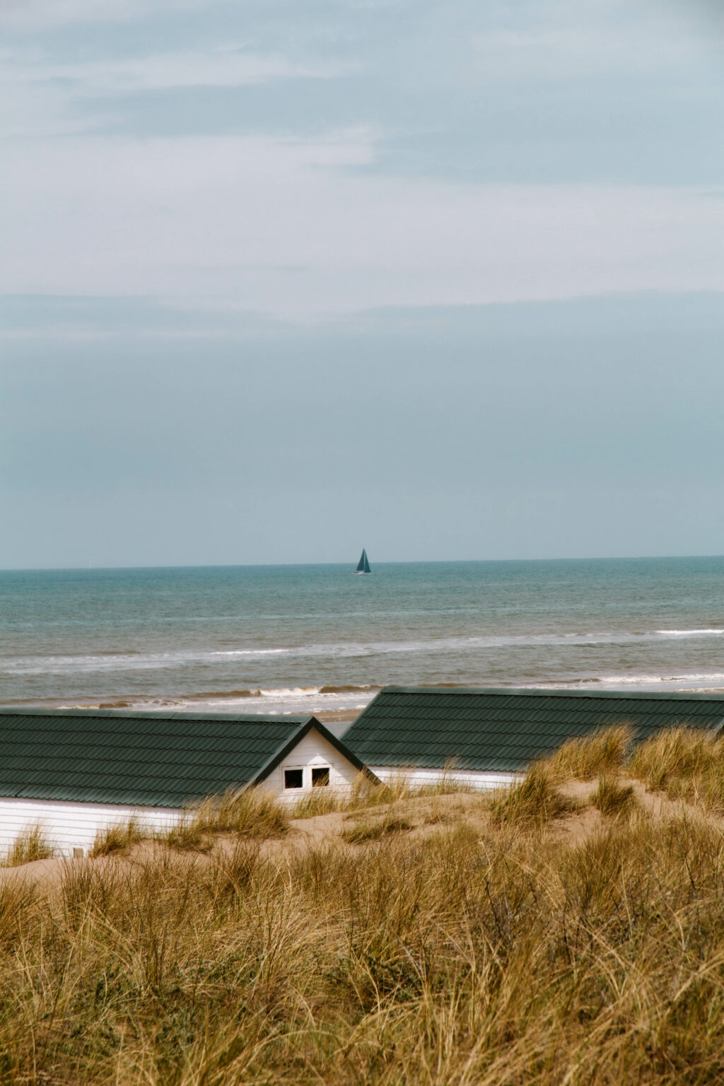 Wat te doen in Leiden en omgeving, de leukste tips! - She rules the globe